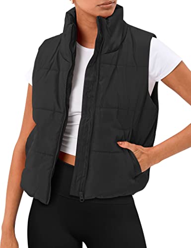 Trendy Queen Puffer Vest Women Fall Clothes Outfits Sleeveless Winter Outerwear Warm Puffer Lightweight Fashion Stand-up Collar Down Vest Fashion 2023