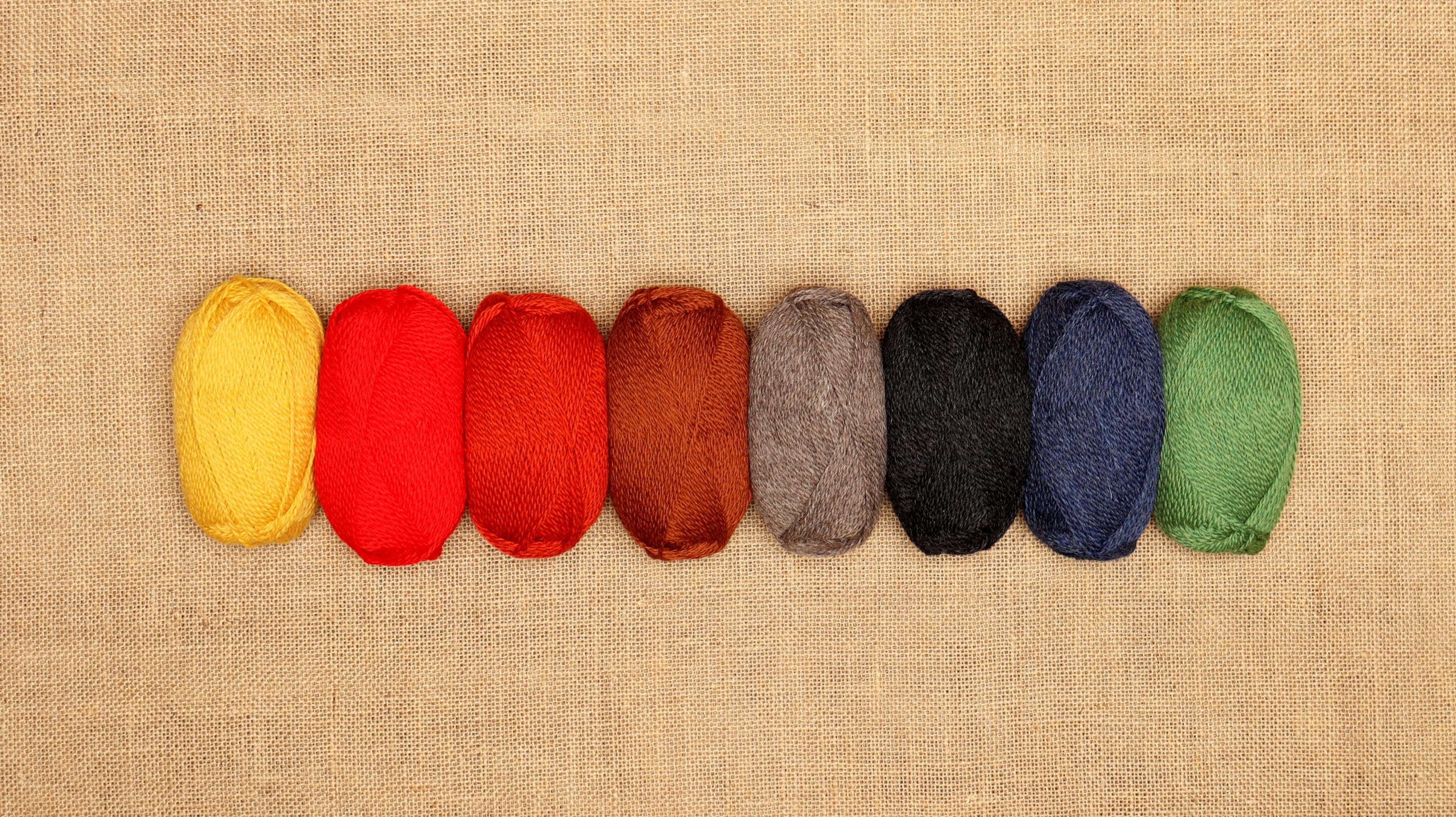 Highland Haven - 100% Highland Wool Yarn Set of 3 Skeins (150 Grams) DK Weight - Sourced Directly from Peru - Heavenly Soft and Perfect for Knitting and Crocheting (DK, Ivory)