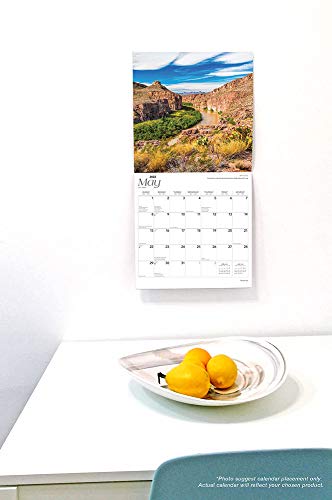 Horse Lovers 2022 12 x 12 Inch Monthly Square Wall Calendar by Plato, Animals Horses Equestrian