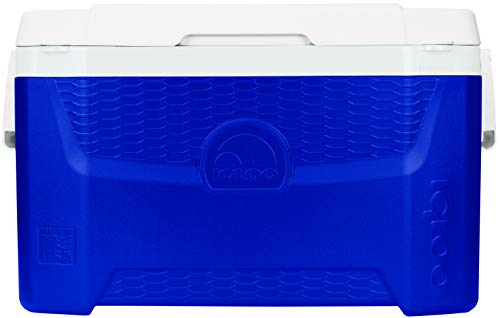 Igloo Quantum, Blue/White, 55 Qt (00049730)