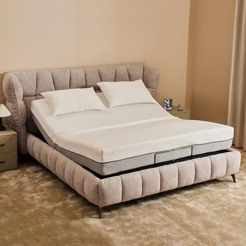 HAUSHECK Queen Size Adjustable Bed Base with Zero Gravity, Head and Foot Incline, Wireless Remote, Quiet Motors, 750lbs Weight Capacity, Ergonomic Bed Frame for Anti-Snore, Stress Management