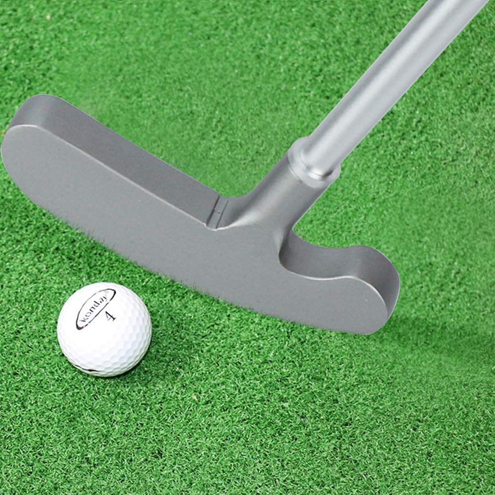 Jitnetiy Removable Alloy Rod Golf Putter for Right Handed Golfers Stand Up Golf Putter Easily Use for Men Women (Right Handed)