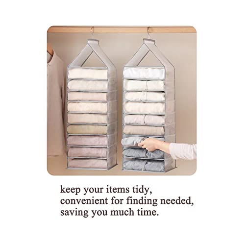 TEGOOL Hanging Closet Organizer, Tier Shelf for Folded Pants Clothes,with Sturdy Hooks Closet Organizers and Storage Bins for Jeans, Trousers,Sweater (6-Shelf)