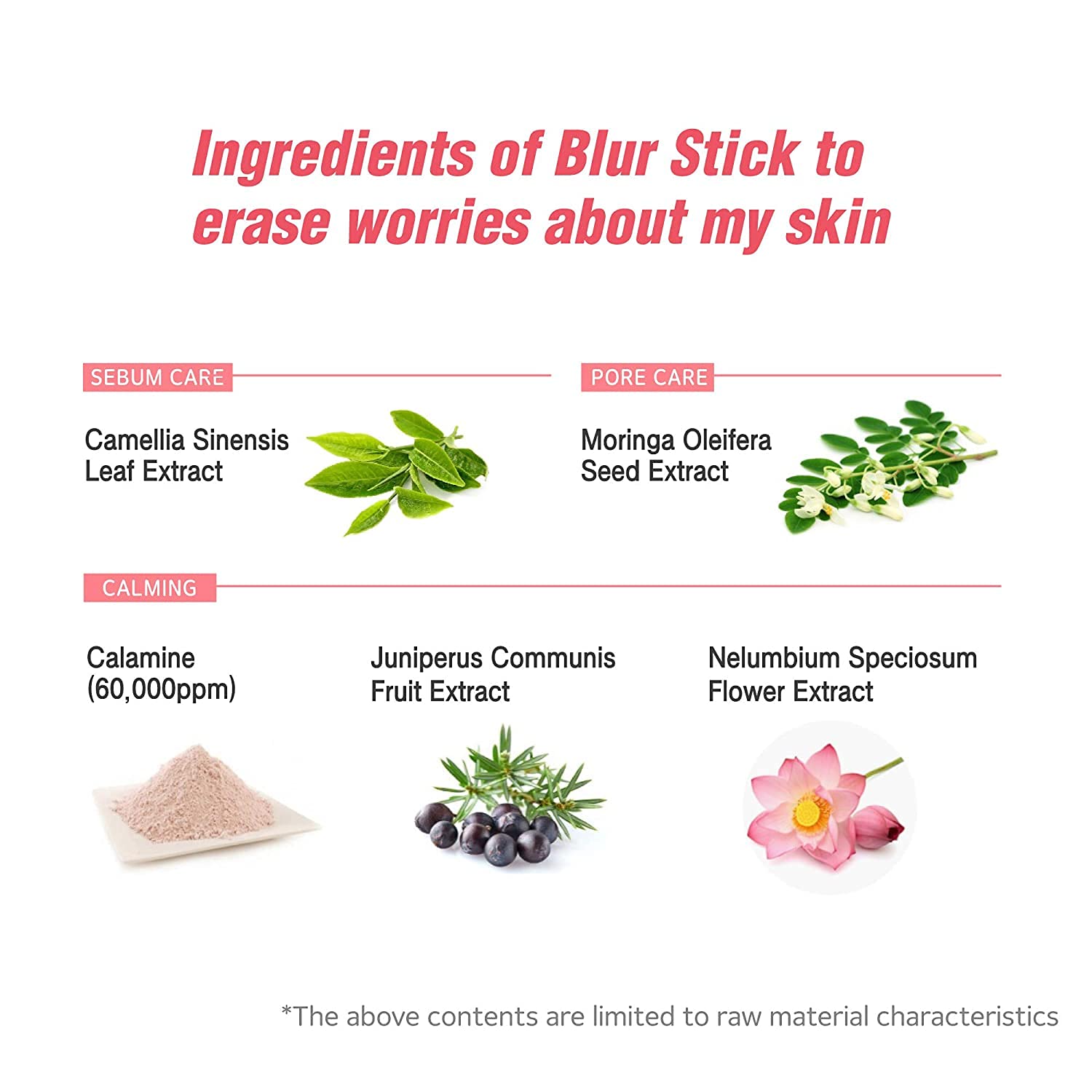 Korean Makeup Blur Stick Face Primer - Pore Minimizer and Reducer for Your Face - More Energetic Eyeshadow, Eyelid and Eye Details - With Hydrating Calamine Base for Oily Skin and Sensitive Acne Skin