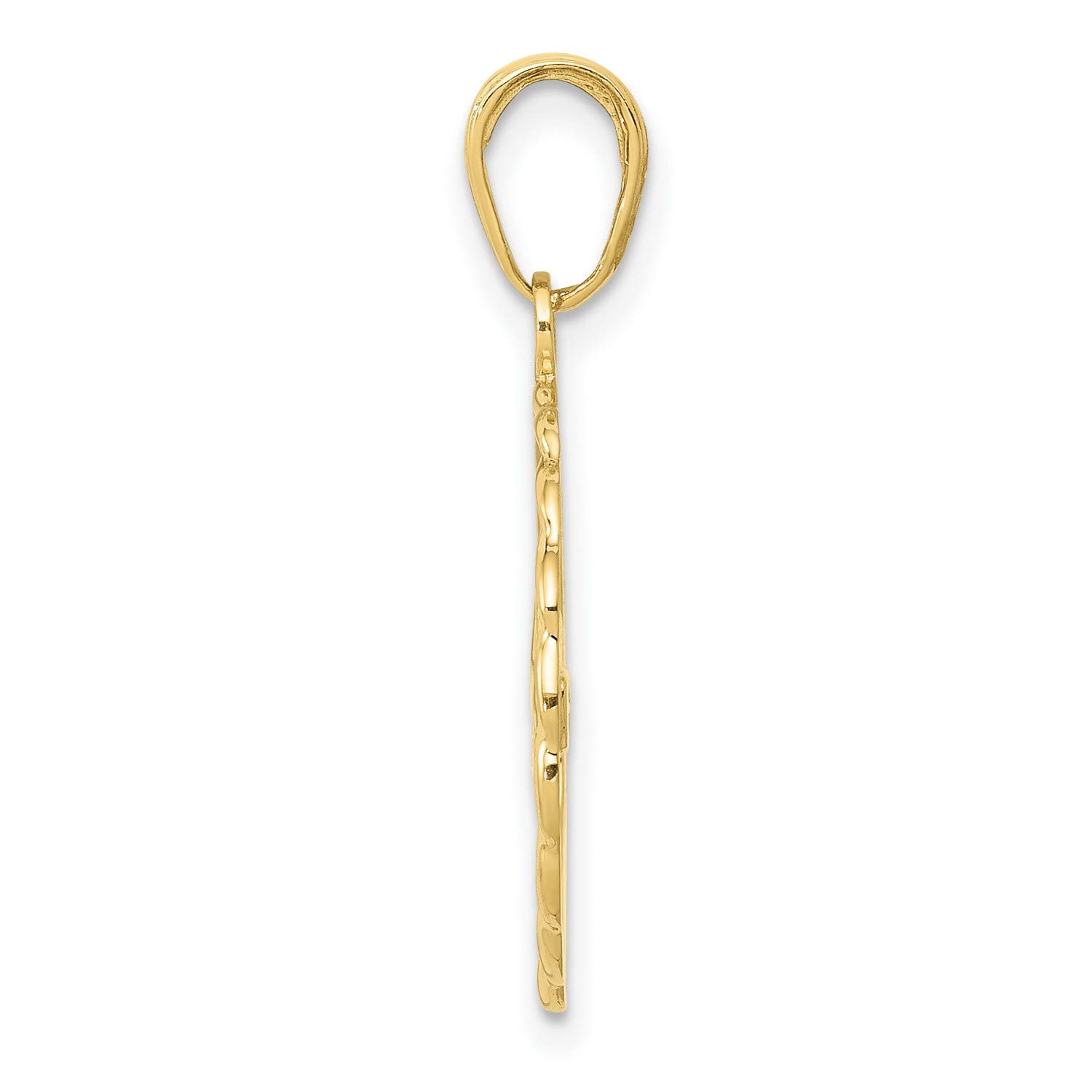 Jewelry Stores Network 10k Yellow Gold Swimmer Inside Open Round Textured Pendant 20 mm x 17 mm
