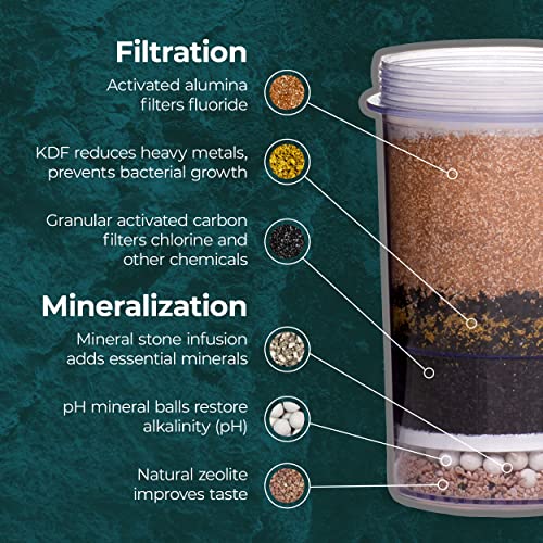 Santevia Gravity Water System Filter | at Home Water Filter That Makes Water Alkaline and Adds Minerals | Chlorine and Fluoride Filter (Countertop Model)