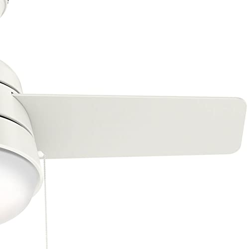 Hunter Fan Company 59301 Aker Indoor with LED Light, Pull Chain Control, 36 Inch, White