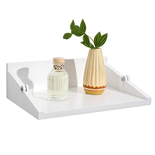 SUMGAR Modern ππ‘π€ππ©ππ£π ππππ‘π Wall Shelf Romantic and Cute Metal Decorative Storage Design ππ‘π€ππ©ππ£π πππππ©π¨π©ππ£π for Living Room Bathroom Bedroom Gifts (White)