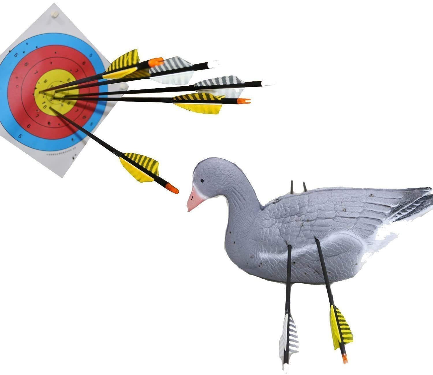 Huntingdoor 31 Inch Hunting Carbon Arrows, Replaceable Points Tips Arrows with 4 Inch Real Feather Fletching,400 Spine Targeting Arrows for Recurve Bow Longbow Practice White (Pack of 6)