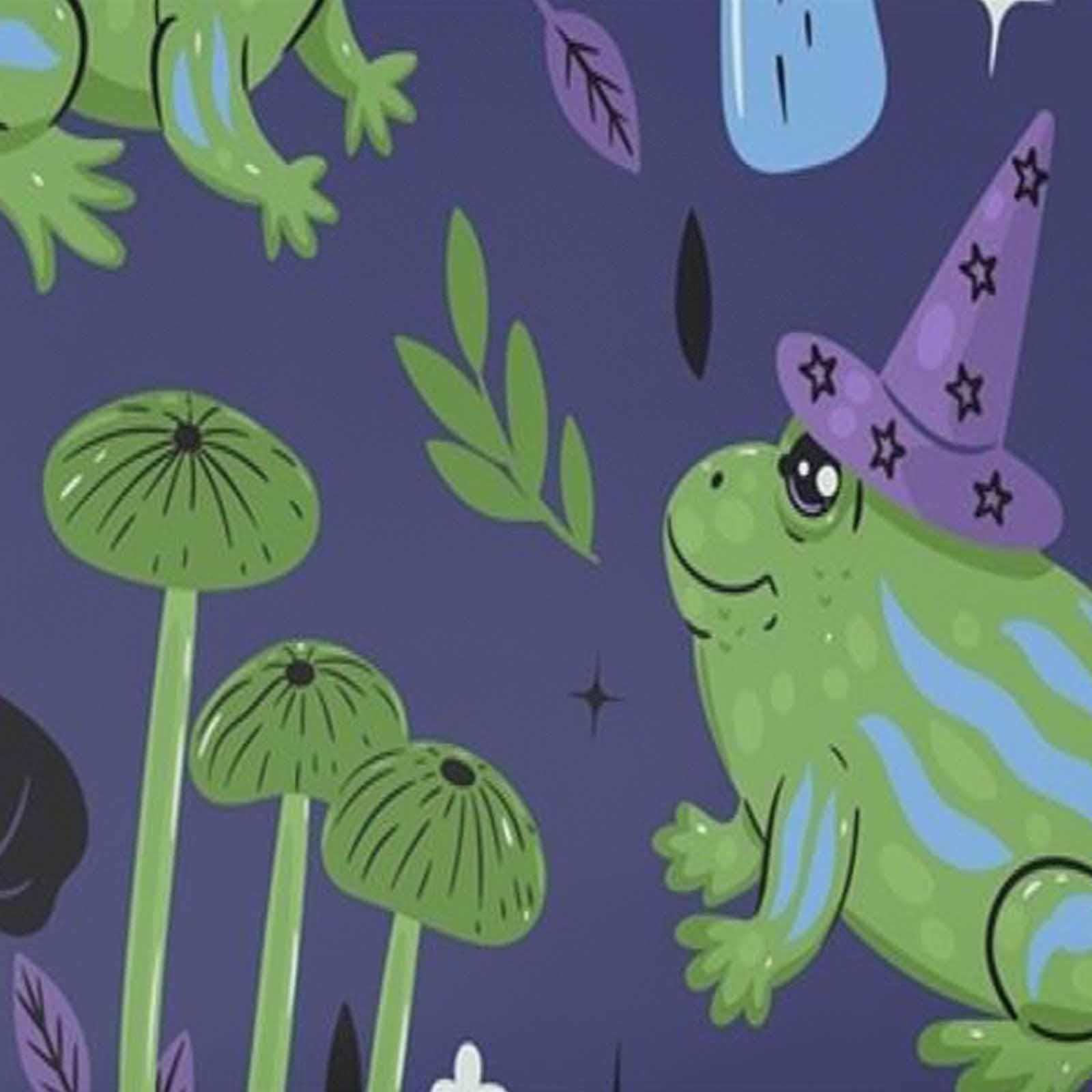 InterestPrint Magic Toads In Hats Gift Wrapping Paper Unique Design for Christmas Birthdays and Party 2 Pieces