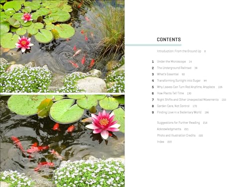 How Plants Work: The Science Behind the Amazing Things Plants Do (Science for Gardeners)