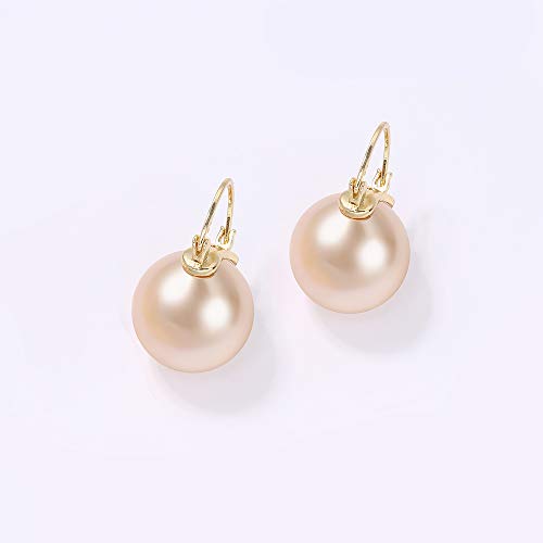 JQWL Gold stud earrings 14K gold plating simple earrings, Elegant Earrings design style best confession gift (Champagne)