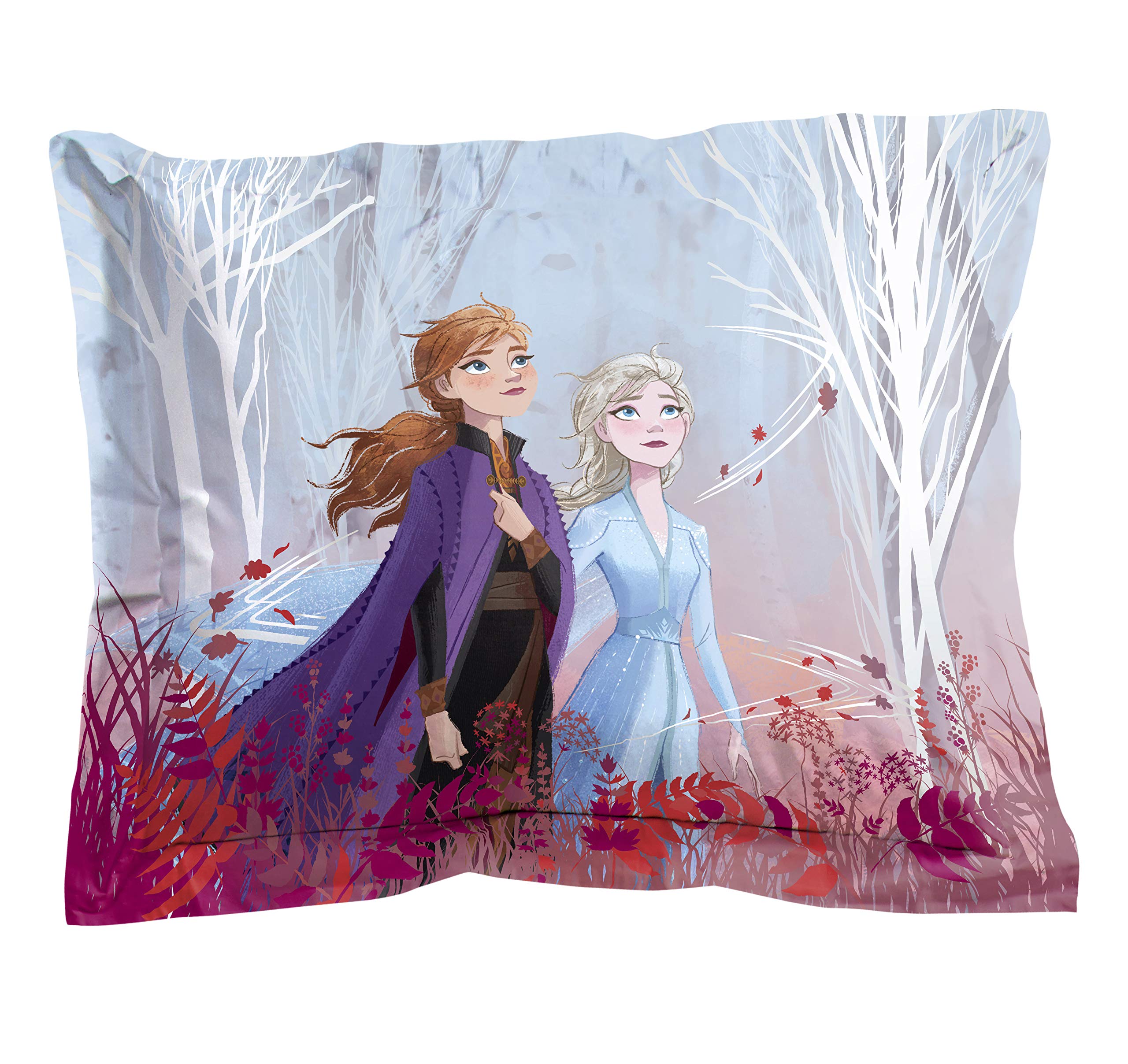 Jay Franco Disney Frozen 2 Forest Spirit Twin/Full Comforter & Sham Set, Mutli
