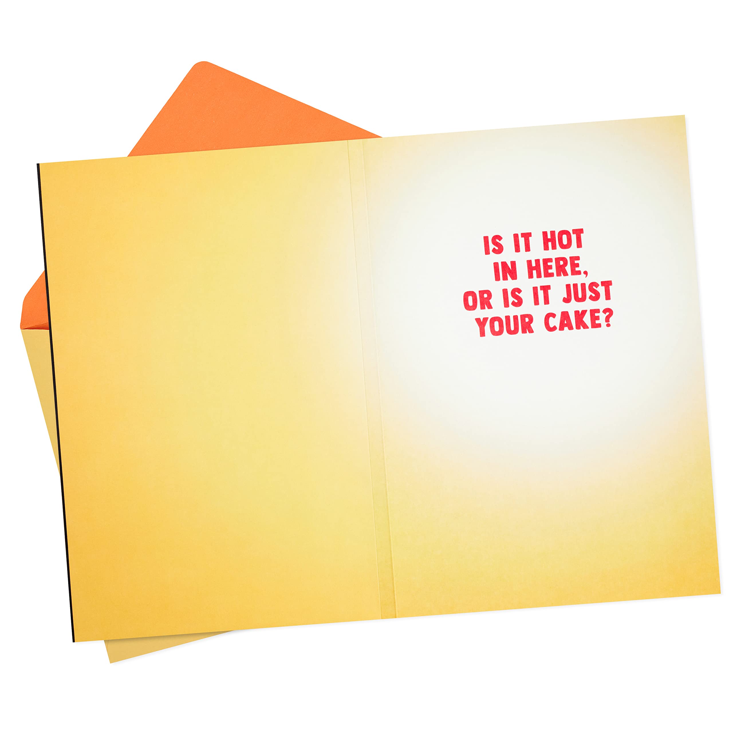 Hallmark Funny Birthday Card with Light and Sound (Birthday Cake Fire)