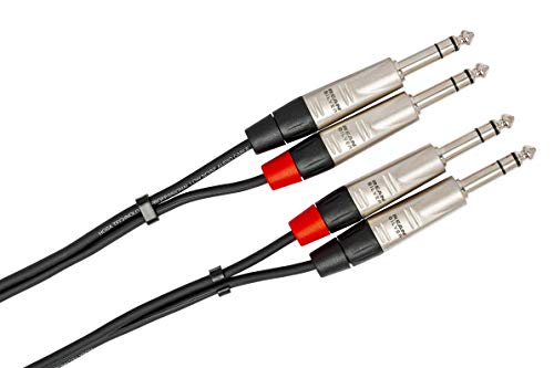 Hosa HSS-010X2 Dual REAN 1/4" TRS Pro Stereo Interconnect Cable, 10 Feet