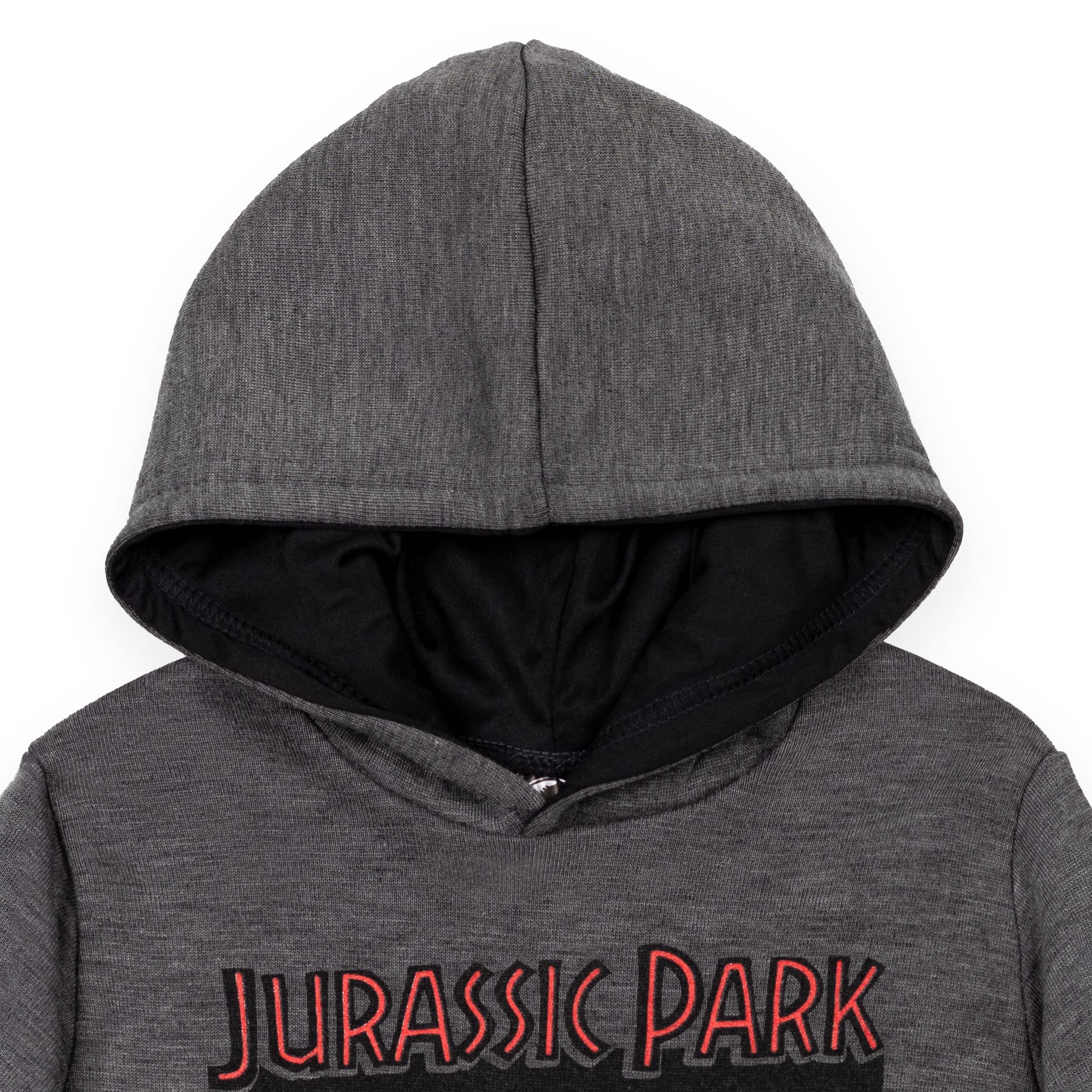 Jurassic Park Little Boys Fleece Hoodie Gray 6