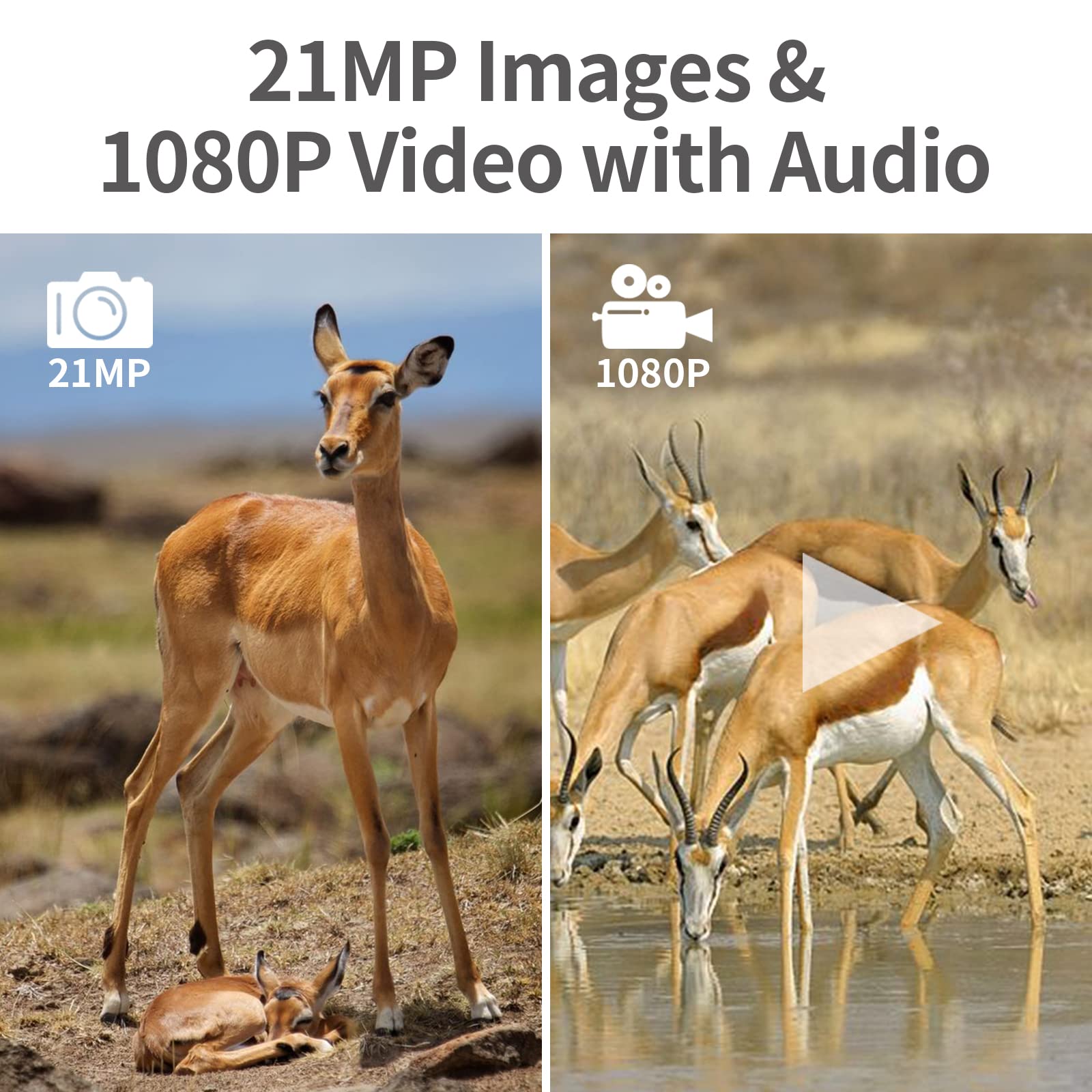 JVAXS Trail Camera 21MP 1080P - Game Hunting Camera with IR Night Vision Motion Activated Waterproof 120°Detecting Range, Infrared Outdoor Cam Wildlife Monitoring Deer Scouting 0.2s Trigger Speed