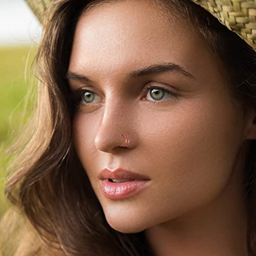 LAOPAZ Rose Gold Spiral Nose Ring 20G Nose Hoop Double Ring For Single Piercing Nose Piercings For Women, gold filled