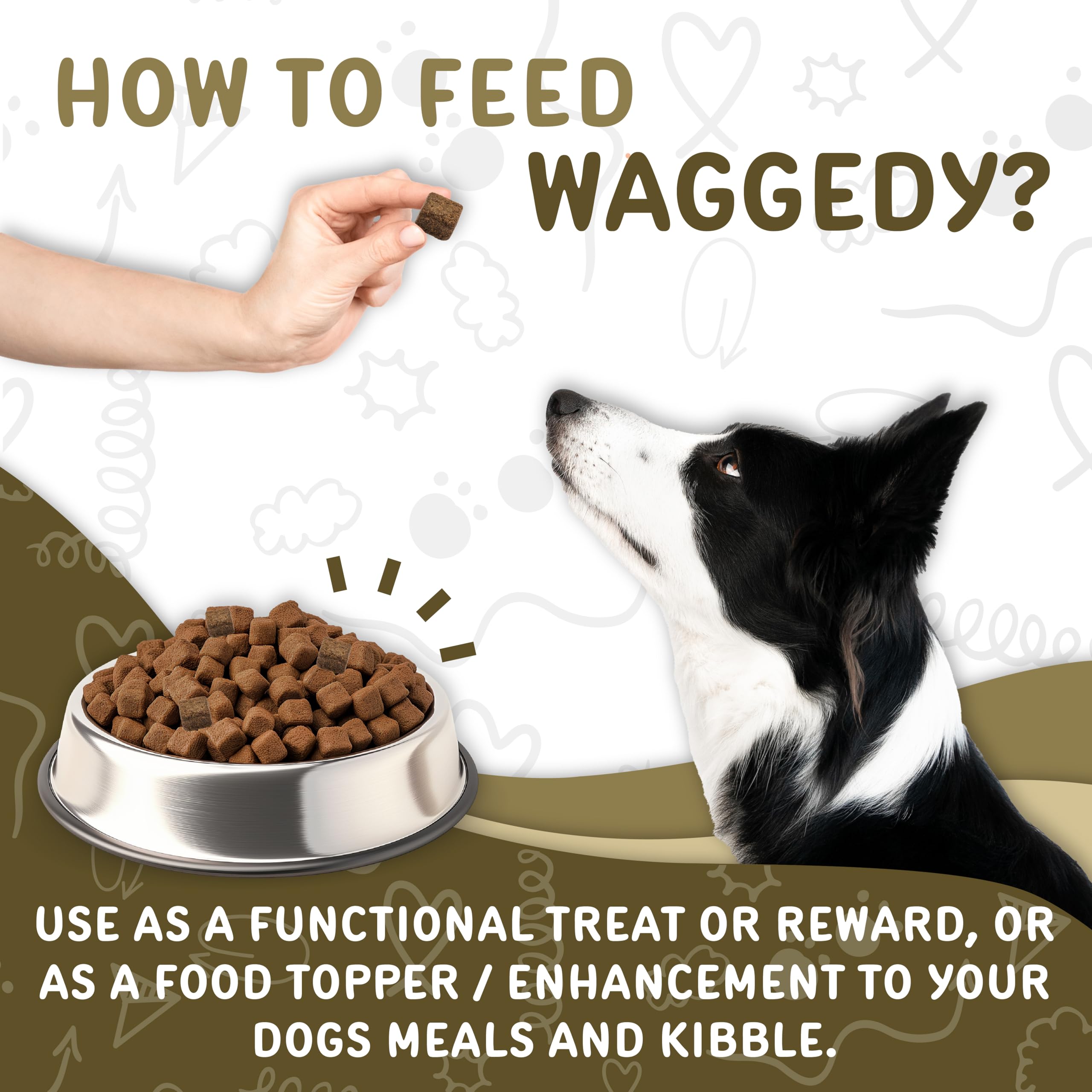 waggedy Daily Essentials Adult Soft Chews — Dog Multivitamin & Immune System Supporter — Dog Nutritional Supplement — Small/Large Dog Supplements & Vitamins (60 Chews)