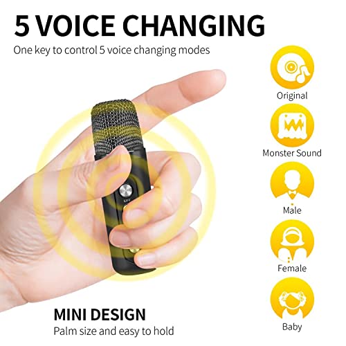 Karaoke Machine with Two Wireless Microphones, Portable Bluetooth Speaker Karaoke Sining Machines for Adults, Kids, Karoke PA System, with Echo and Vocal Cut, Supports TF/USB, AUX in,for Home Party