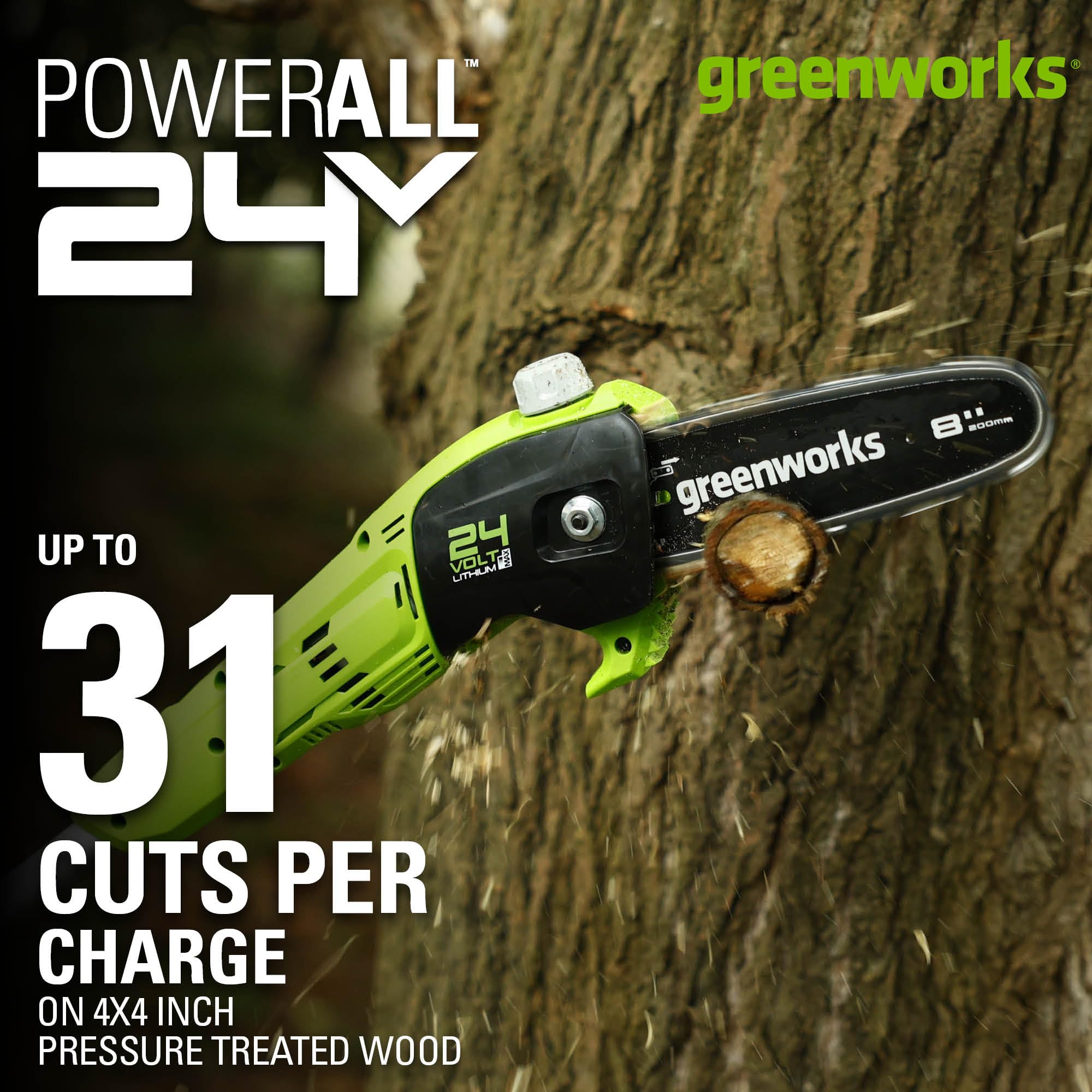 Greenworks 24V 8" Cordless Polesaw (Great For Pruning and Trimming Branches / 125+ Compatible Tools), 2.0Ah Battery and Charger Included