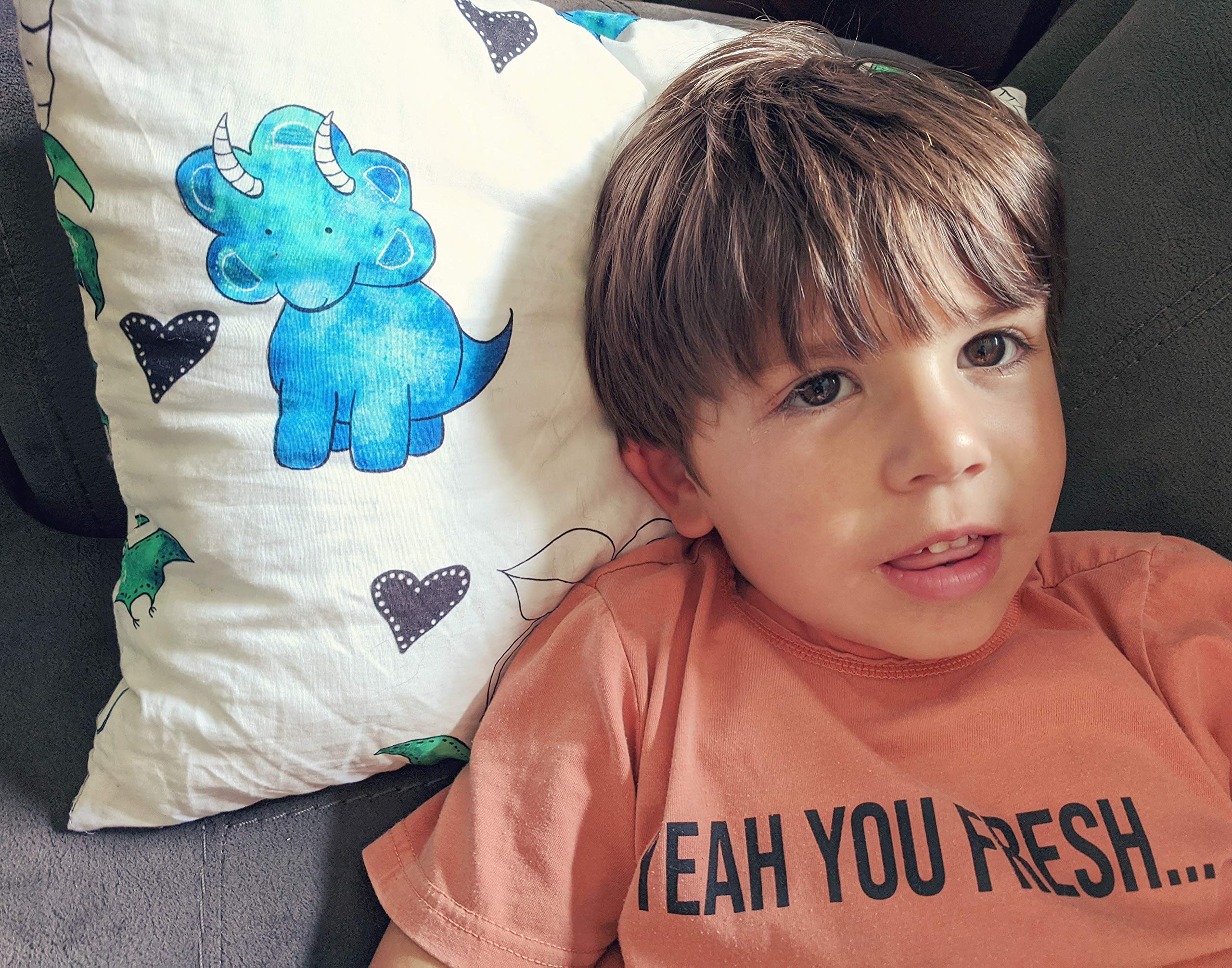 JumpOff Jo β Toddler Pillow for Kids, No Pillowcase Needed, Kids Travel Pillow, 100% Cotton Cover, Hypoallergenic, Machine Washable β 14βx19 (Dinosaur)