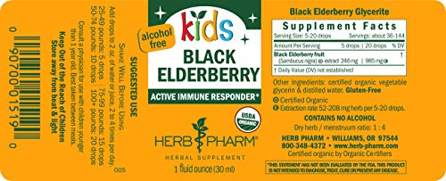 Herb Pharm Kids Certified-Organic Alcohol-Free Black Elderberry Glycerite Liquid Extract, 1 Ounce (GLKELD01)