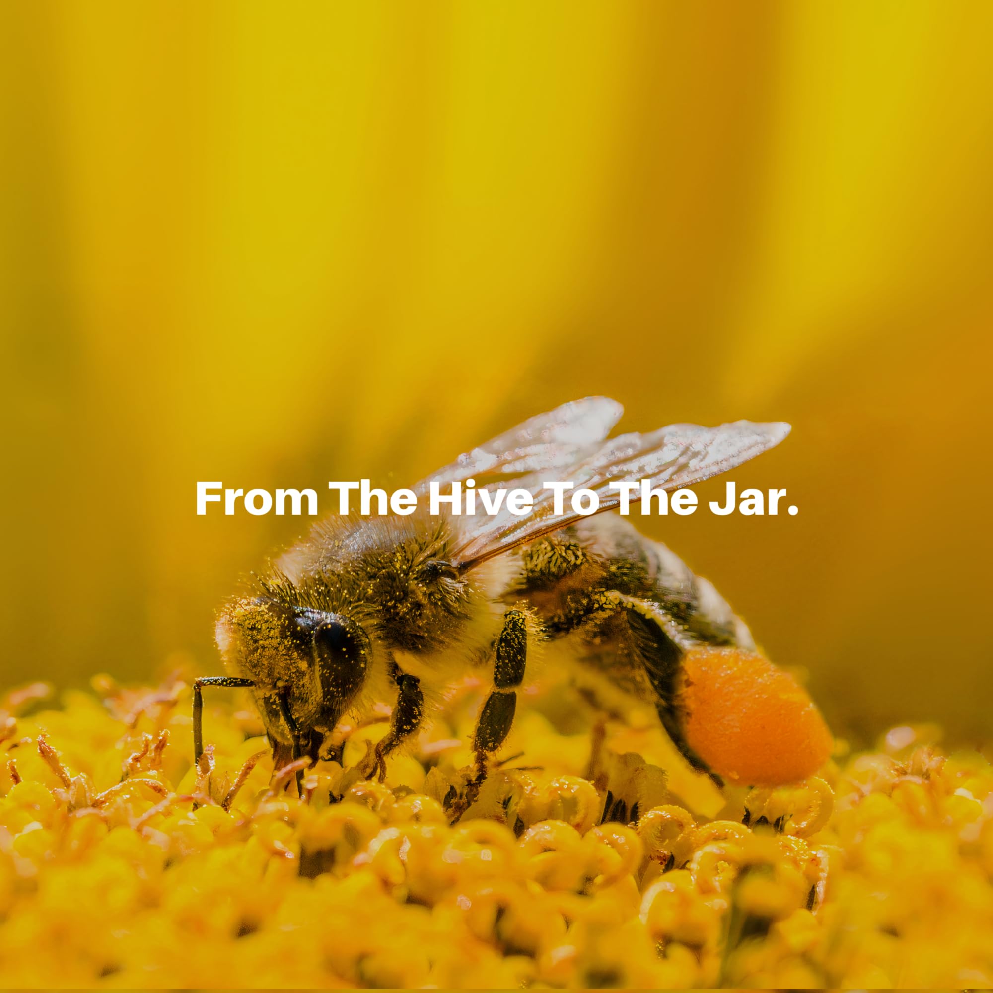 HoneyPlusCo | 100% Natural Fresh Bee Pollen - (Antioxidant, Allergies, Stamina, Muscle) 7.5 Oz