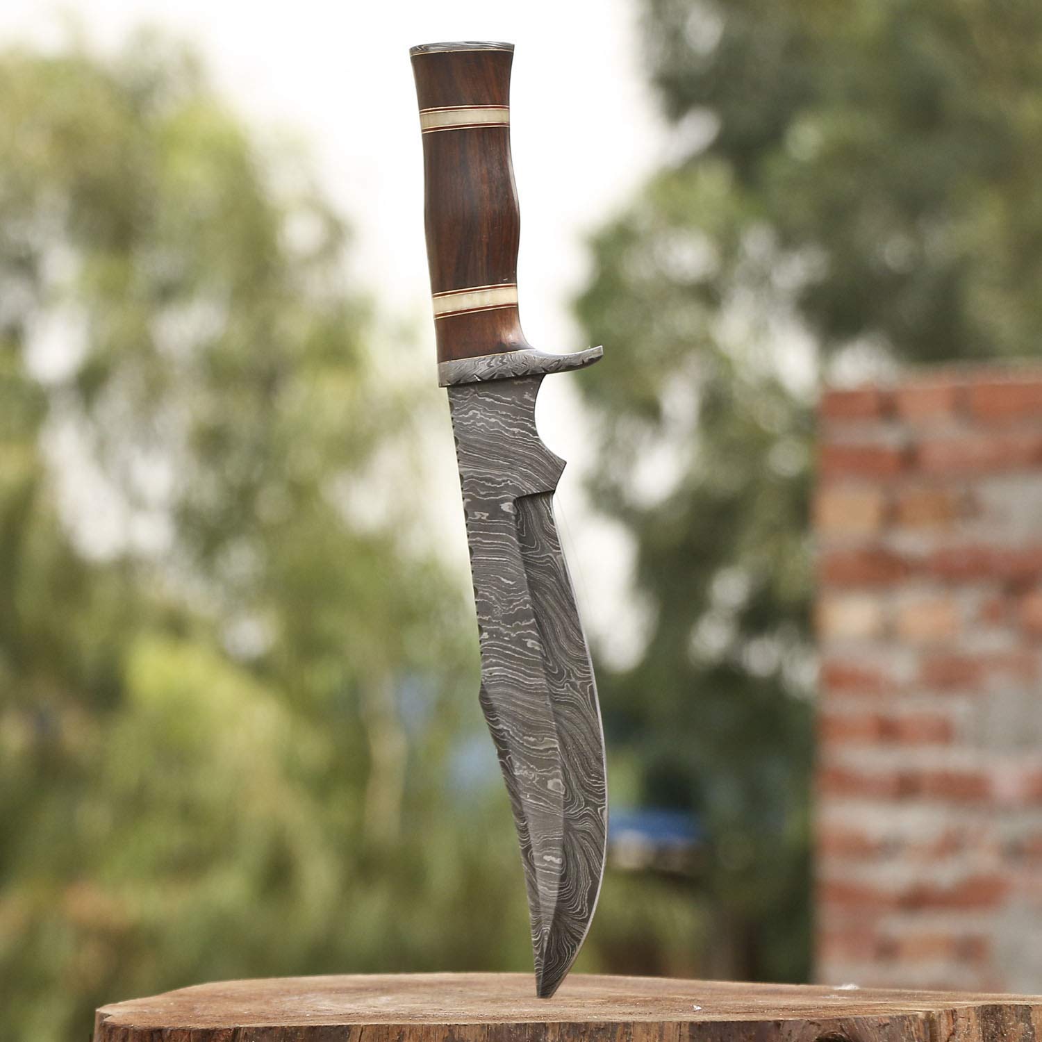 JNR Traders Damascus Steel Fixed Blade Hunting Knife with Leather Sheath -3083