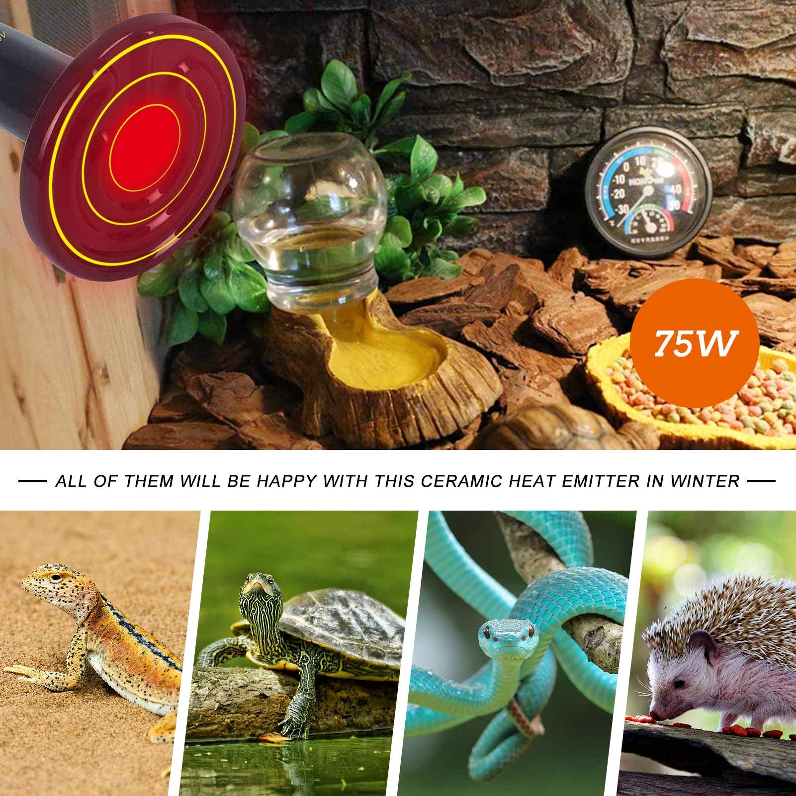 HANJION 75W Ceramic Heat Lamp, Infrared Reptile Heat Emitter Heater Lamp Bulb for Pet Brooder Coop Chicken Lizard Turtle Snake Aquarium, No Light Emitting No Harm - 2 Pack