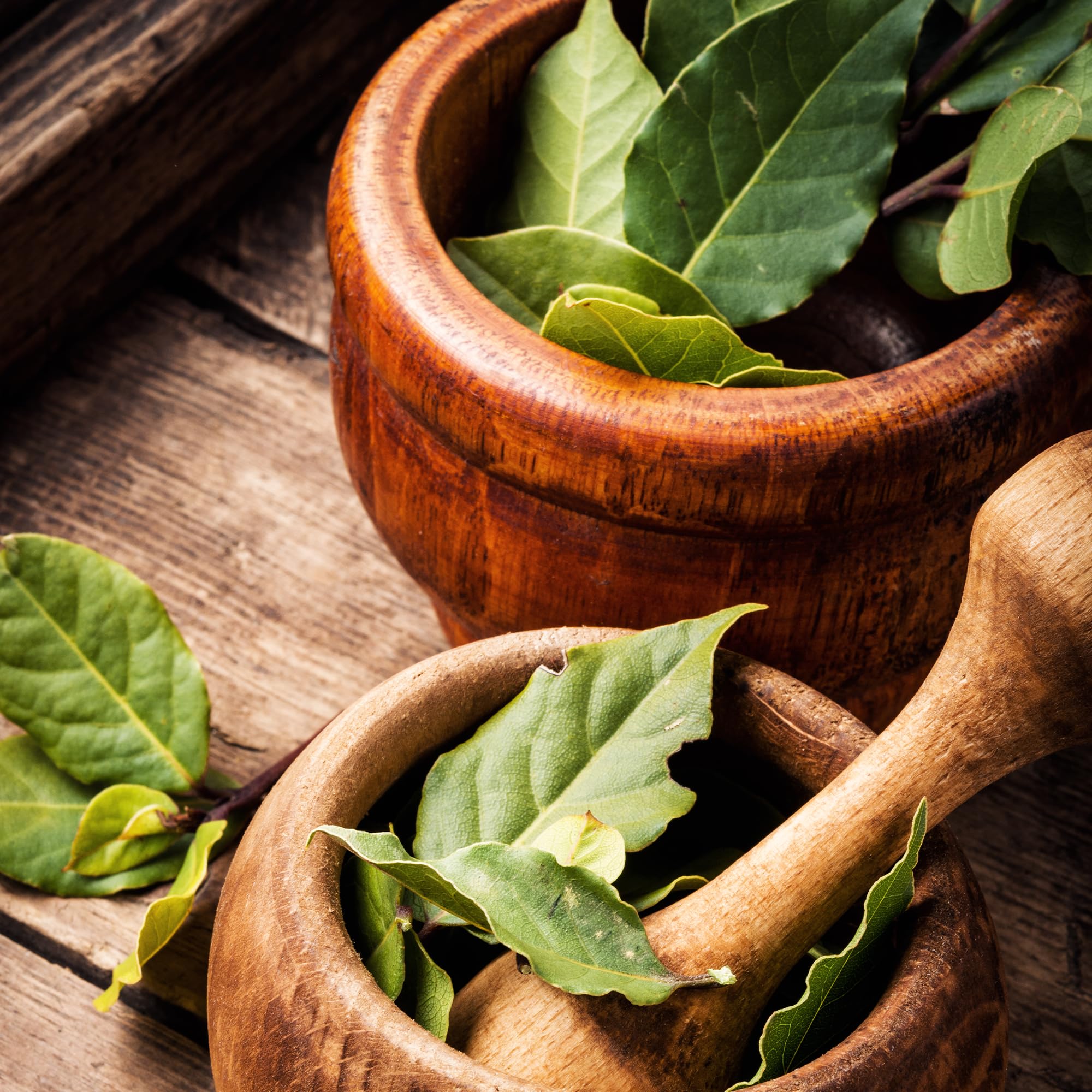 Jovvily Whole Bay Leaves - 1lb - Whole Leaves - Non-GMO - Curries - Poultries - Stews