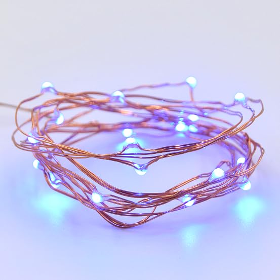 Hometown Evolution, Inc. Blue Fairy Lights - Battery Operated - 6 Foot 20 Blue LED Micro lights on Copper Wire - Waterproof for Indoor and Outdoor Use