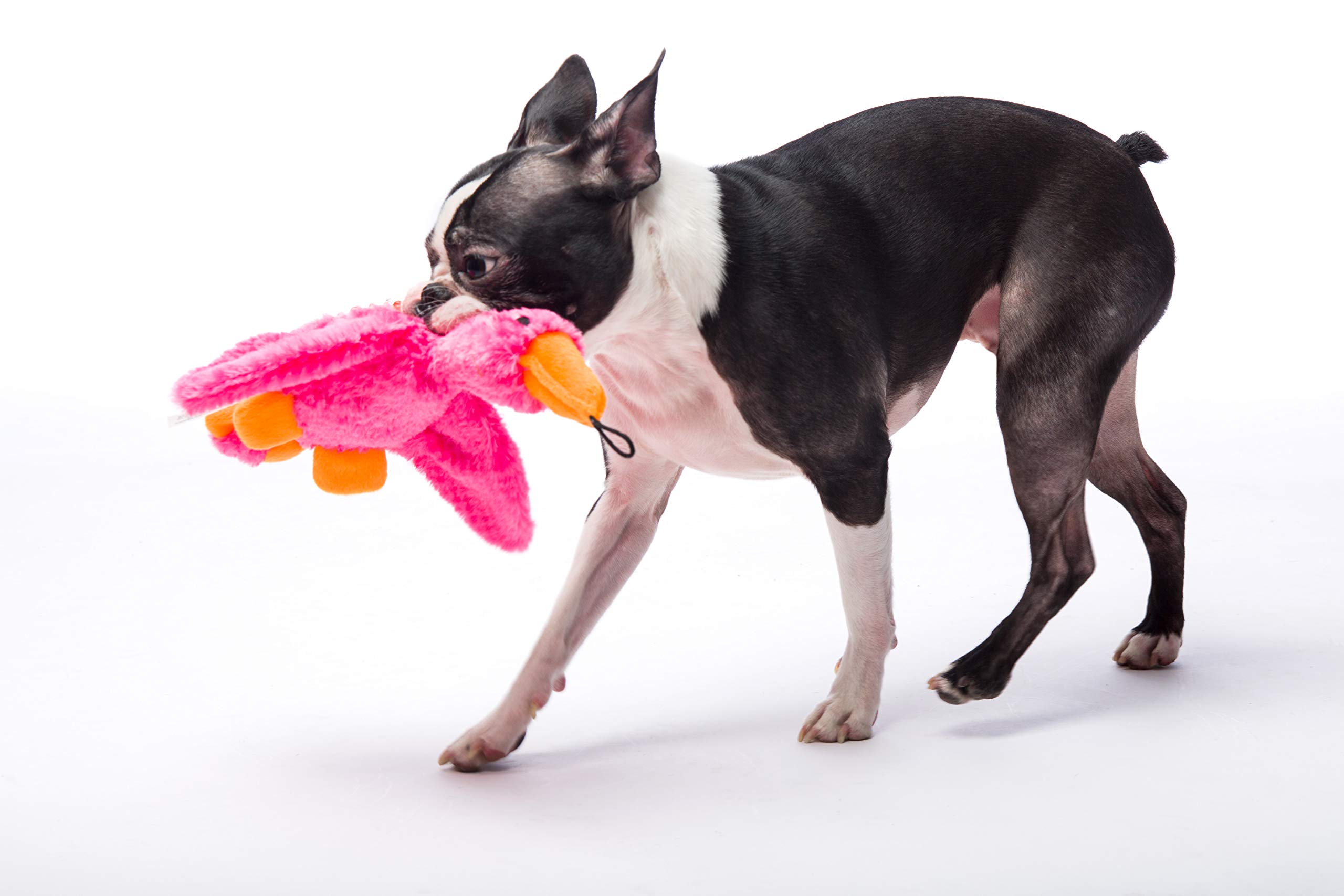 Hartz Squeak & Treat Duck Treat Dispensing Dog Toy, 1 Count