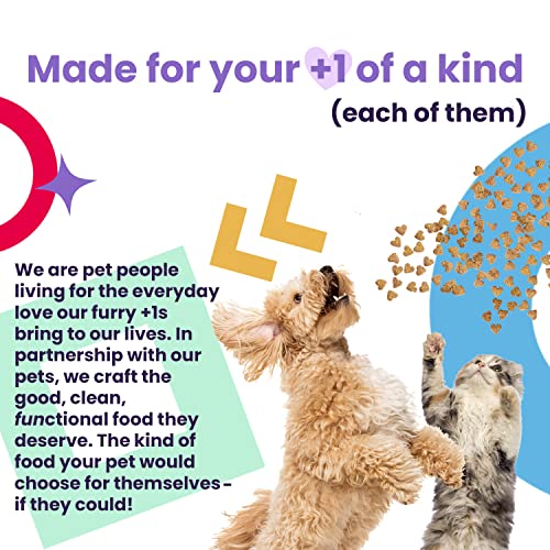 I and love and you Naked Essentials Dry Cat Food - Chicken + Pumpkin for Digestive Support - Grain Free, Real Meat, Prebiotics + Probiotics, 3.4lb Bag