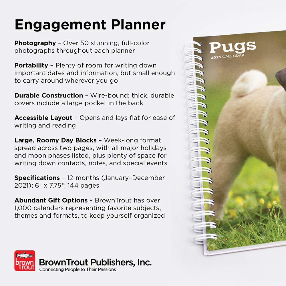 Horse Lovers 2021 6 x 7.75 Inch Spiral-Bound Wire-O Weekly Engagement Planner Calendar | New Full-Color Image Every Week | Animals Equestrian