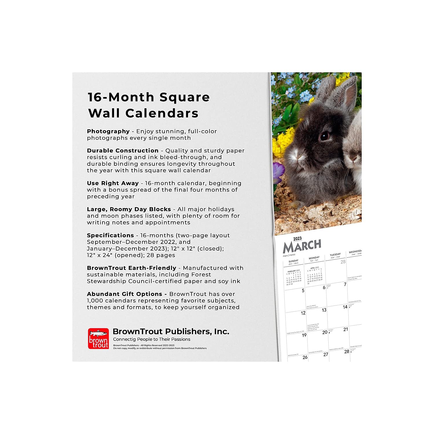 Honey Bunny | 2023 12 x 24 Inch Monthly Square Wall Calendar | BrownTrout | Domestic Small Cute Animals