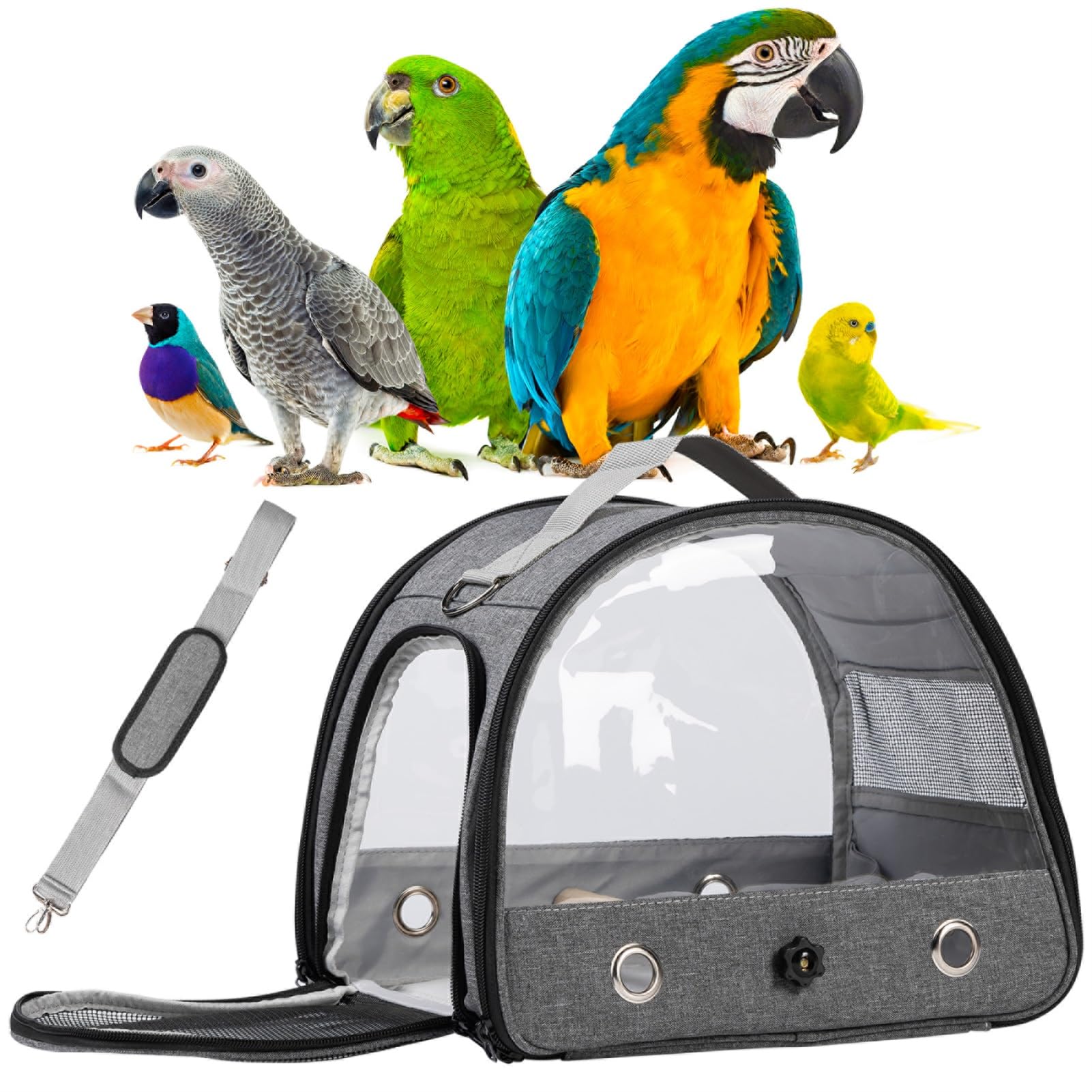 HEJKFVCL Bird Carrier Transparent Window Small Bird Cage Portable Assembly Bird Carrier Backpack for Guinea Pig Rat Small Animal