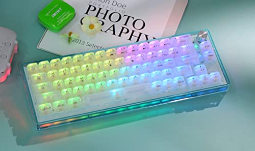 MechLands MC66 65% Hot Swap Programmable RGB 2.4Ghz/ Bluetooth/USB-C Wireless Gaming Keyboard with Double Sound Absorbing Silicone Pad, 4000mAh Battery for Win/MAC/iOS(White, Flamingo Switch)