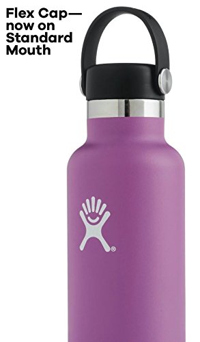 Hydro Flask, Standard Mouth Flex Cap Stainless