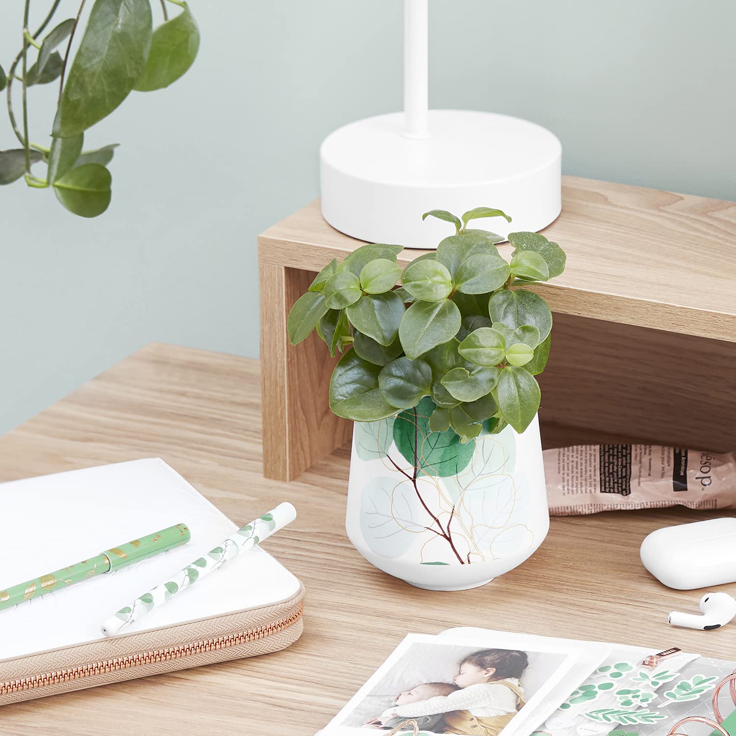 kikki.K Small Porcelain Pot - Thyme: Kindness. Perfect for Small Plants or Holding Pens and Pencils. Dishwasher Safe. Beautiful Watercolor Leaf Design