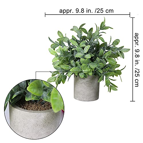 Winlyn Set of 2 Faux Mini Potted Plants Artificial Eucalyptus Boxwood Plants in Pots Fake Greenery Arrangement for Rustic Farmhouse Indoor Table Centerpiece Mantel Shelf Kitchen Office Desk Decor