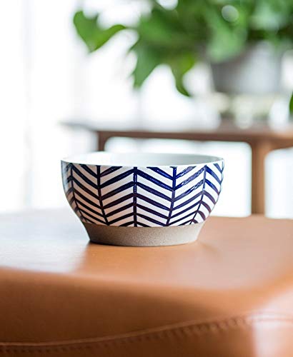 Koja Porcelain China Ceramic Soup Cereal Pasta Noodle Bowl Set of 4.