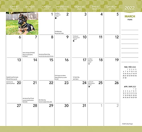 I Love Puppies Jadore les Chiots 2022 3.5 x 6.5 Inch Two Year Monthly Pocket Planner, Dogs Pets Canine