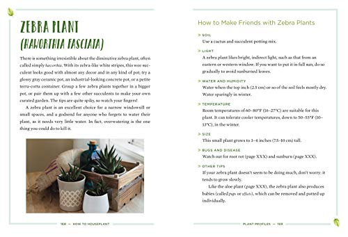 How to Houseplant: A Beginnerās Guide to Making and Keeping Plant Friends