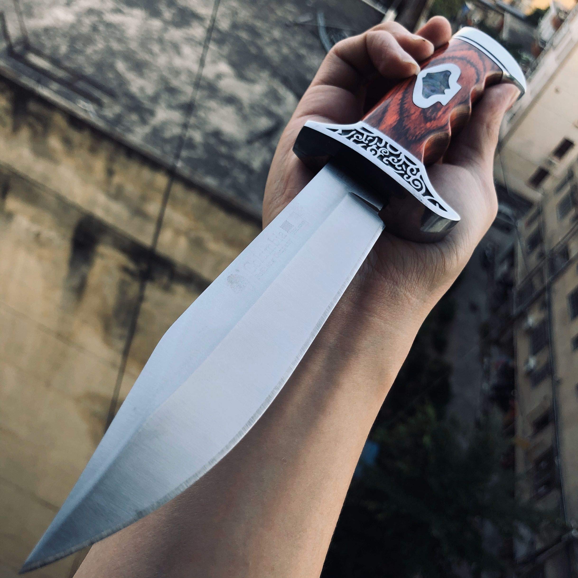 JGN Trading Tactical Combat Fixed Blade Hunting Knife, Outdoor Camping Essential Dagger Wood Handle Military Knives Survival Tool,W/ Nylon Sheath