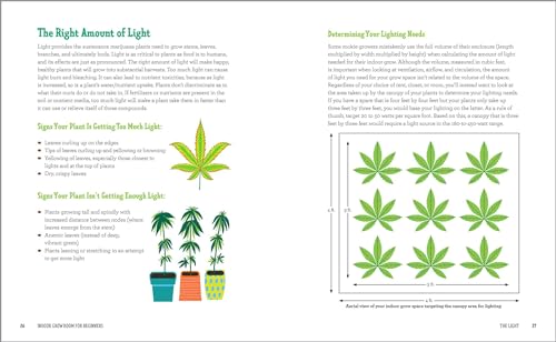Indoor Grow Room for Beginners: A Step-By-Step Guide to Growing Marijuana