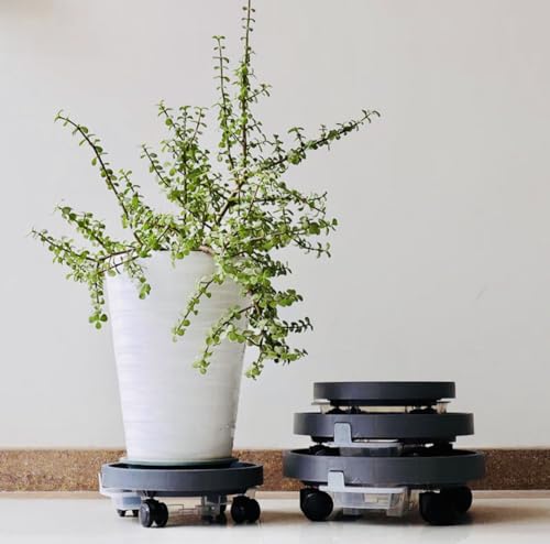 Two Pack HuaBoShi Plant Caddy Stand with Wheels Heavy Duty with Built-in Bottom Ventilation Design and Water Tray Bear Weight up to 160 LB (13β in Diameter)