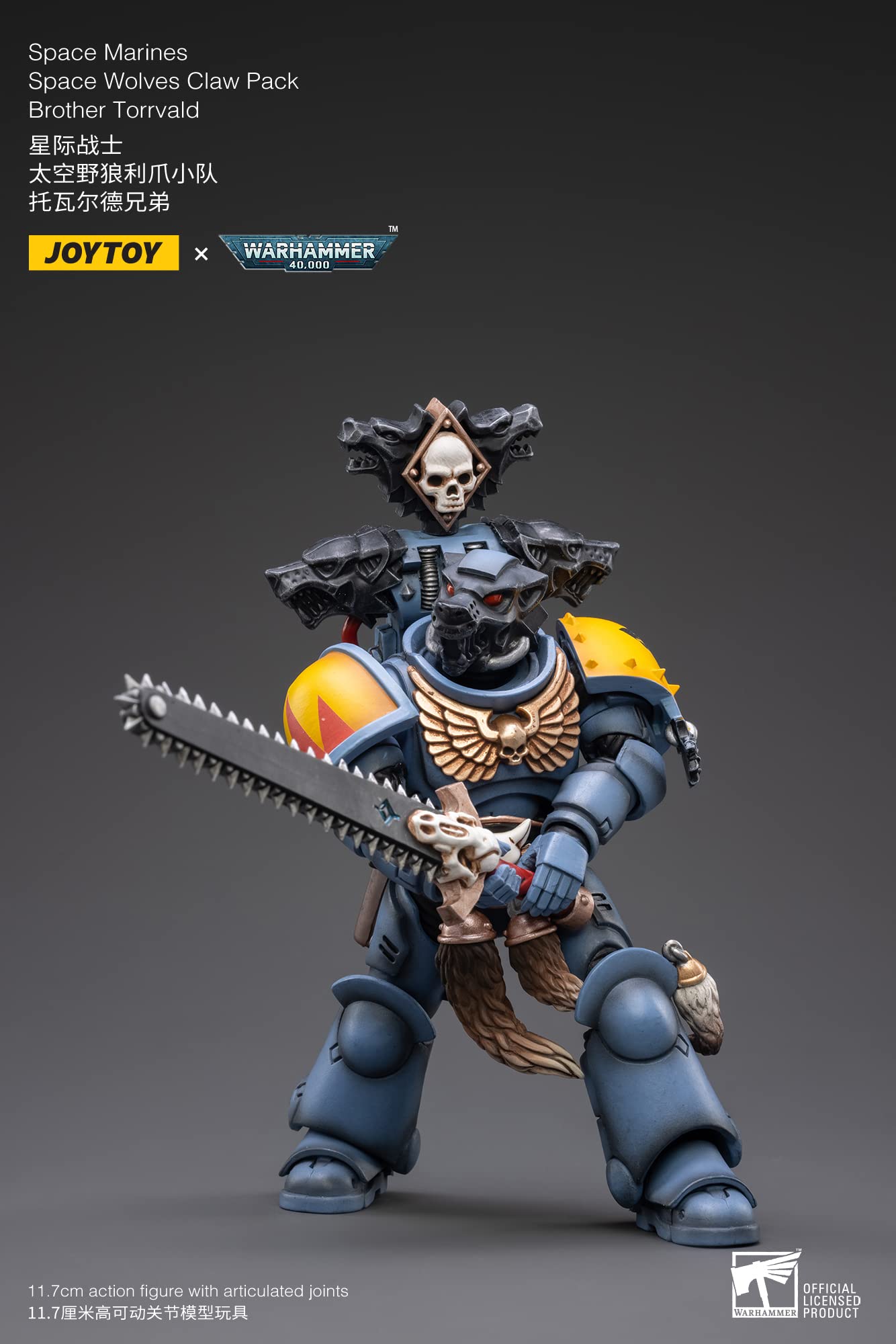 HUAXI DARK SOURCE(HAINAN)TECH JoyToy Warhammer 40K: Space Wolves Claw Pack Torrvald 1:18 Scale Figure