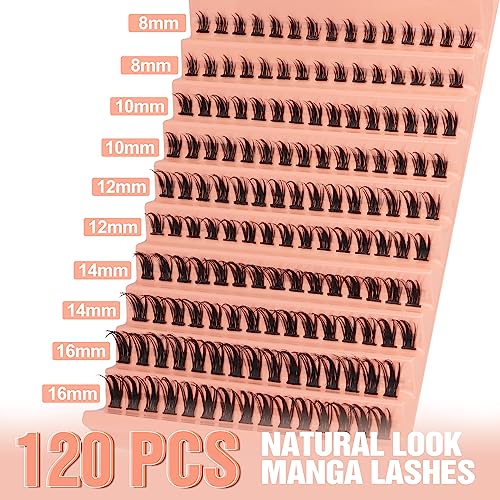 Lashes Cluster DIY Manga Eyelash Extensions 8-16mm Individual Lashes Wispy D Curl Anime Lashes Natural Look Lash Extensions at Home 150 Pcs Individual Cluster Eye Lashes Pack