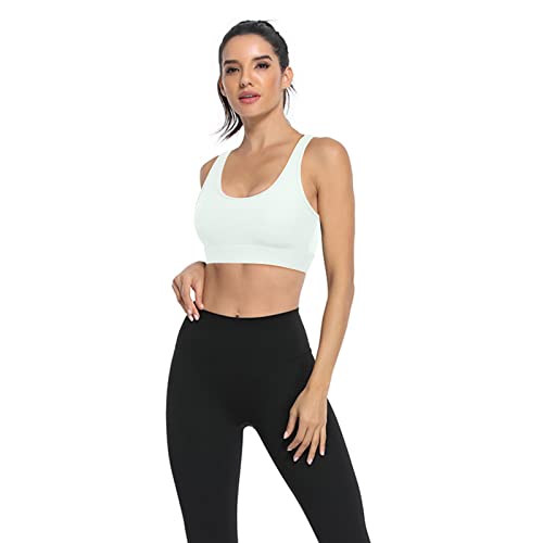 LEJASH Women Sports Bras, 3 Piece Seamless Wireless Removable Padded Support Tank Top Workout Exercise Yoga Gym Running Longline Sport Bra(M)